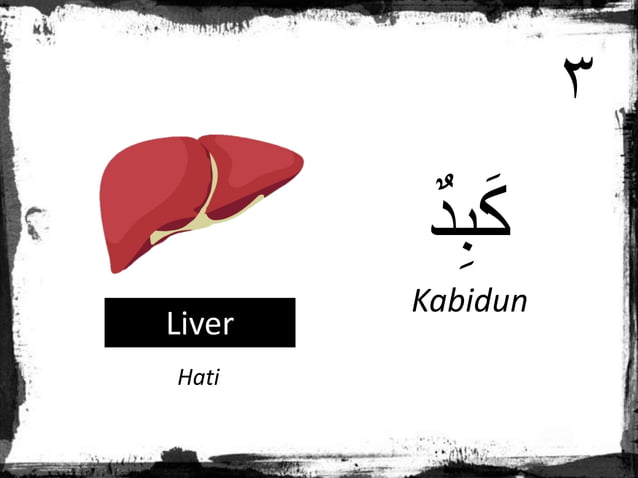 BAHASA ARAB - Organ Dalaman (Internal Organs) | PPT