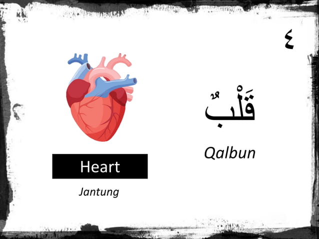 BAHASA ARAB - Organ Dalaman (Internal Organs) | PPT