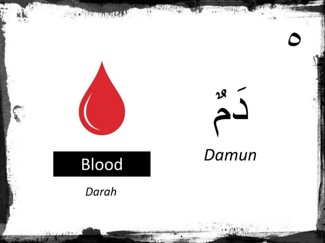 BAHASA ARAB - Organ Dalaman (Internal Organs) | PPT