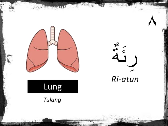 BAHASA ARAB - Organ Dalaman (Internal Organs) | PPT