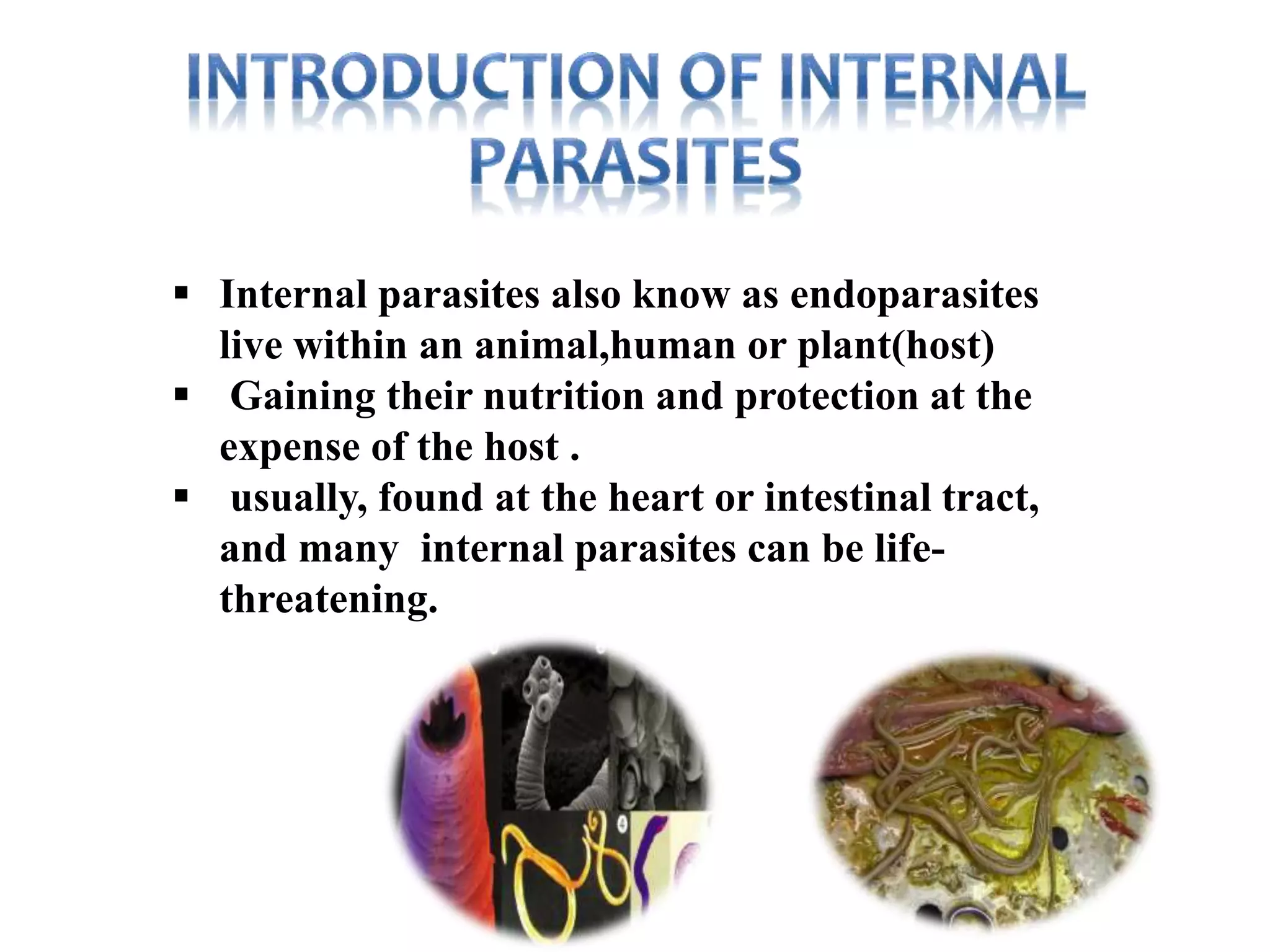 Internal parasites for micribiology | PPTX