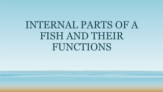 Internal parts of a fish and their functions | PPTX