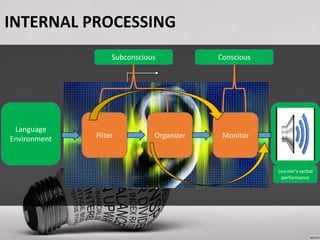 internal processing.pptx.pptx