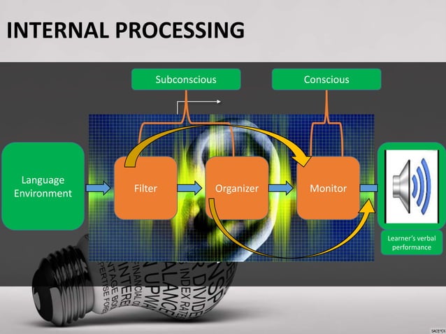 internal processing.pptx.pptx