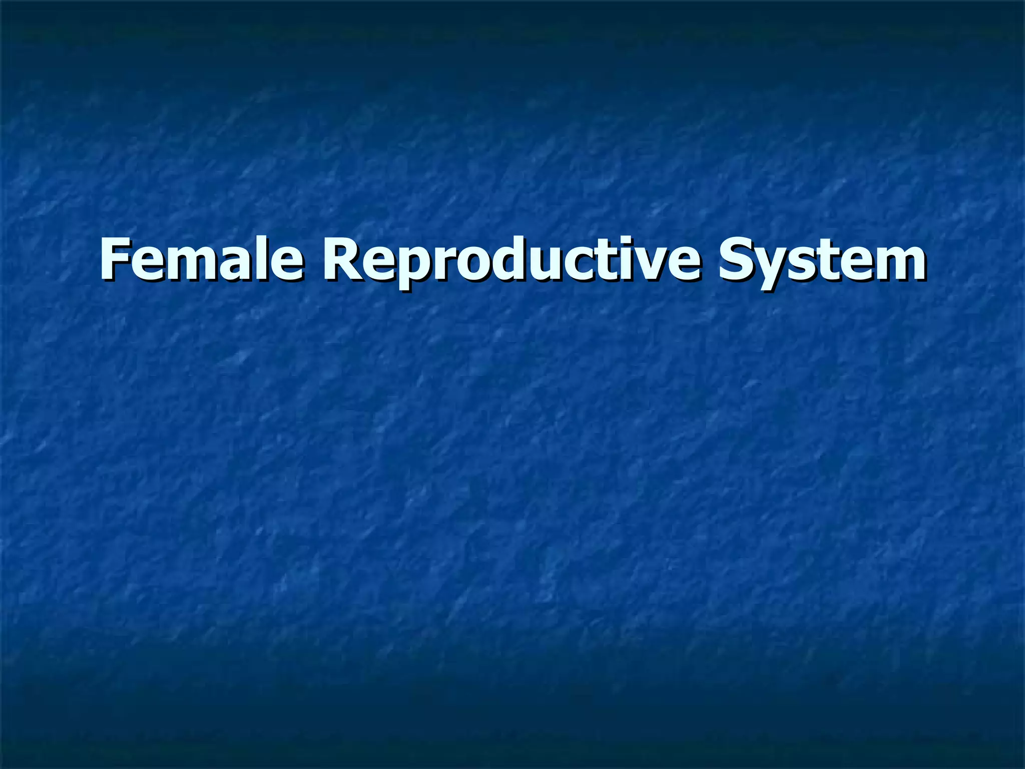 Female Reproductive System | PPT