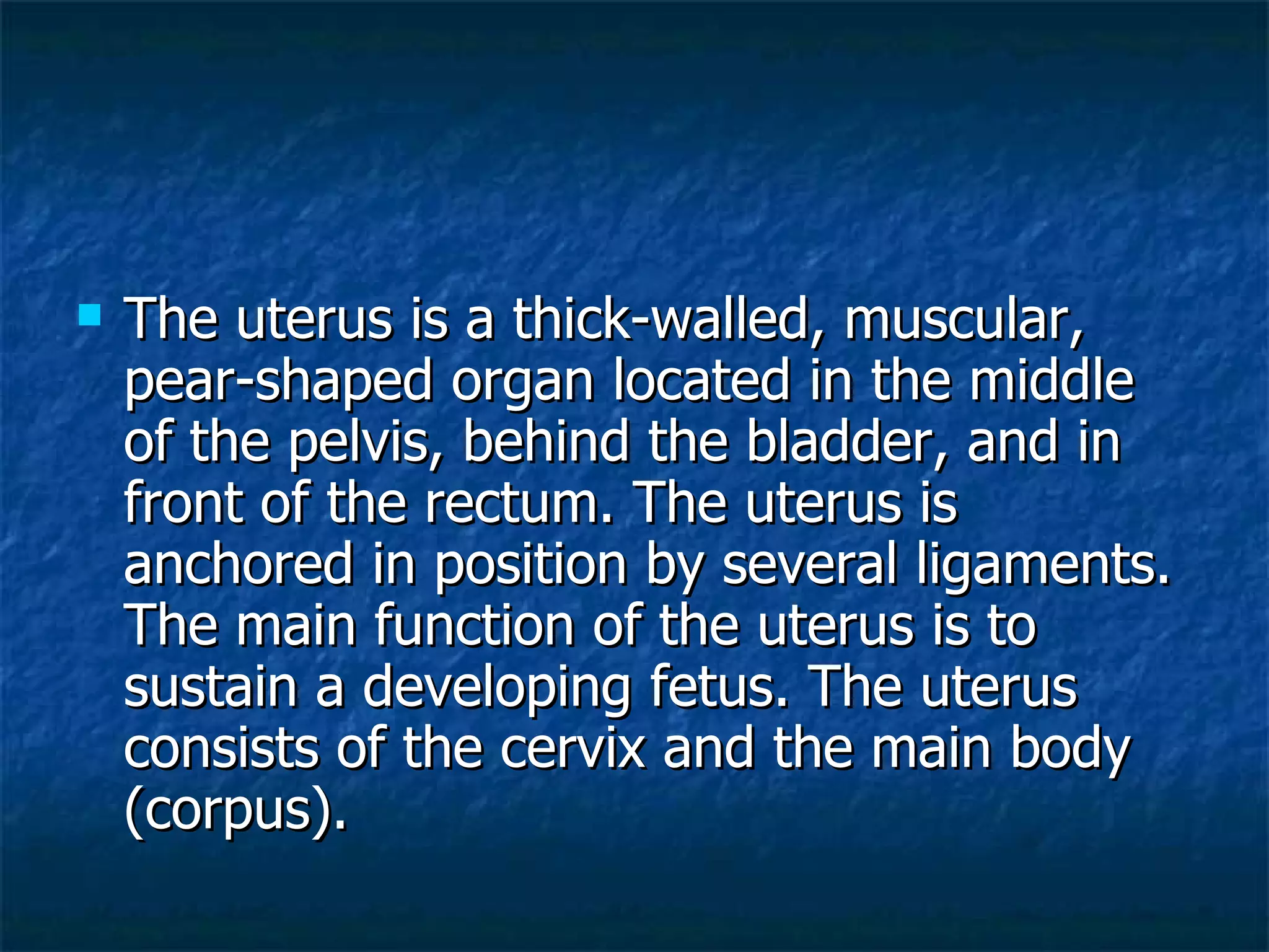 Female Reproductive System | PPT