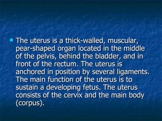 Female Reproductive System | PPT