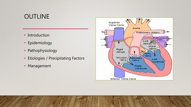 Heart Failure Seminar | PPT