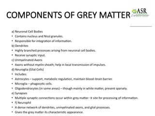 INTERNAL STRUCTURE : GRAY MATTER-WPS Office.pptx