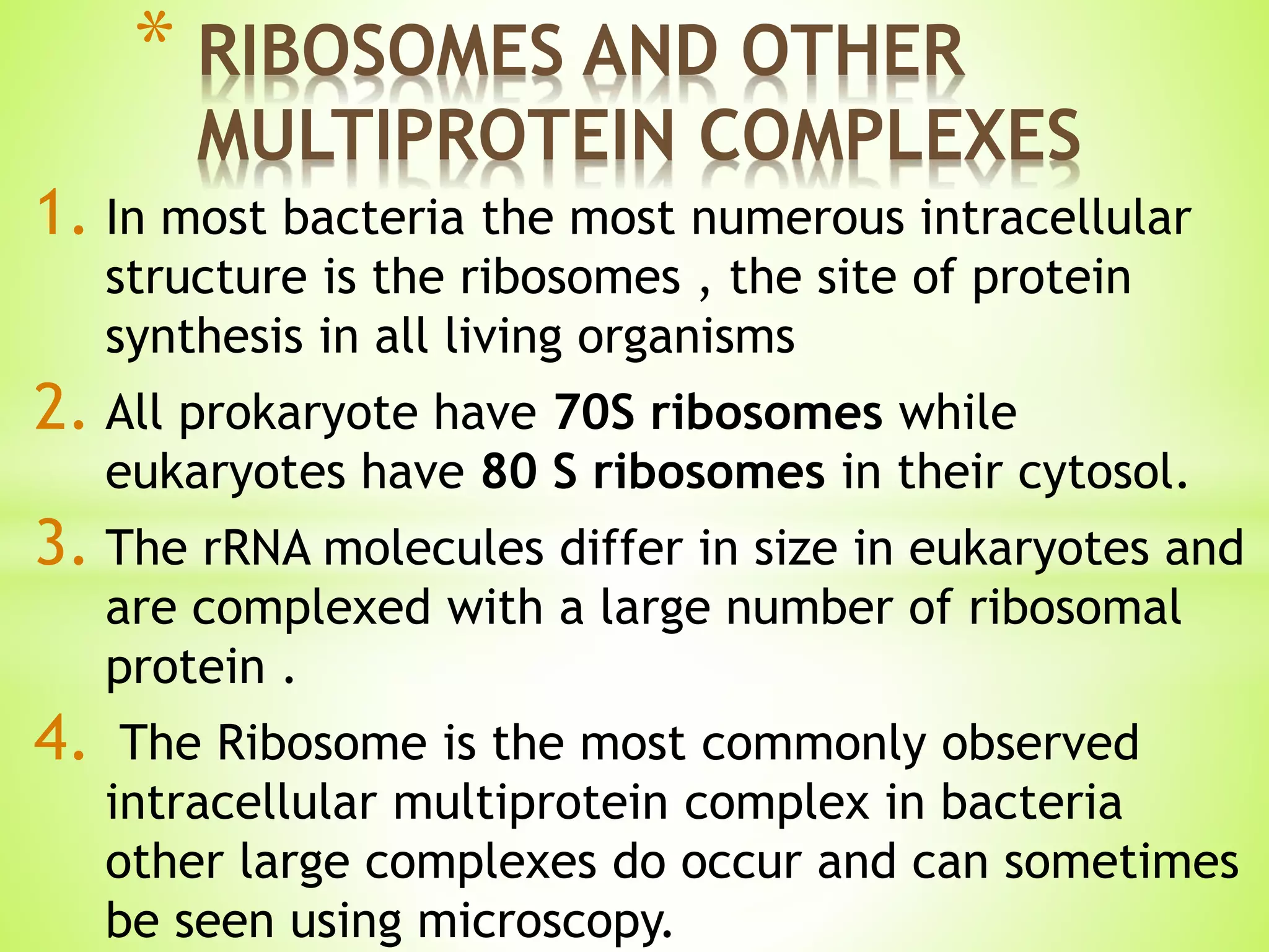 Internal structure of bacteria | PPTX