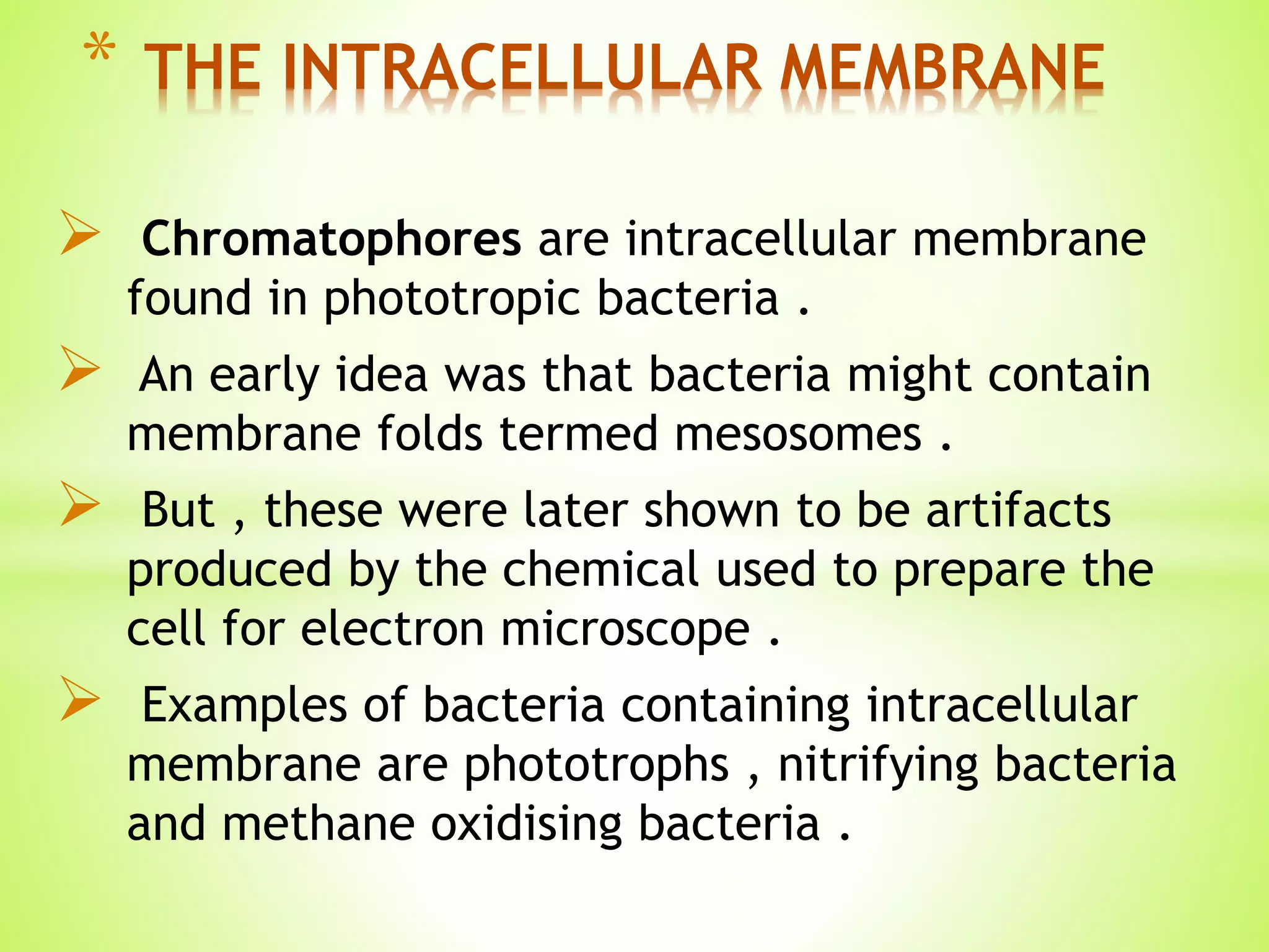 Internal structure of bacteria | PPTX