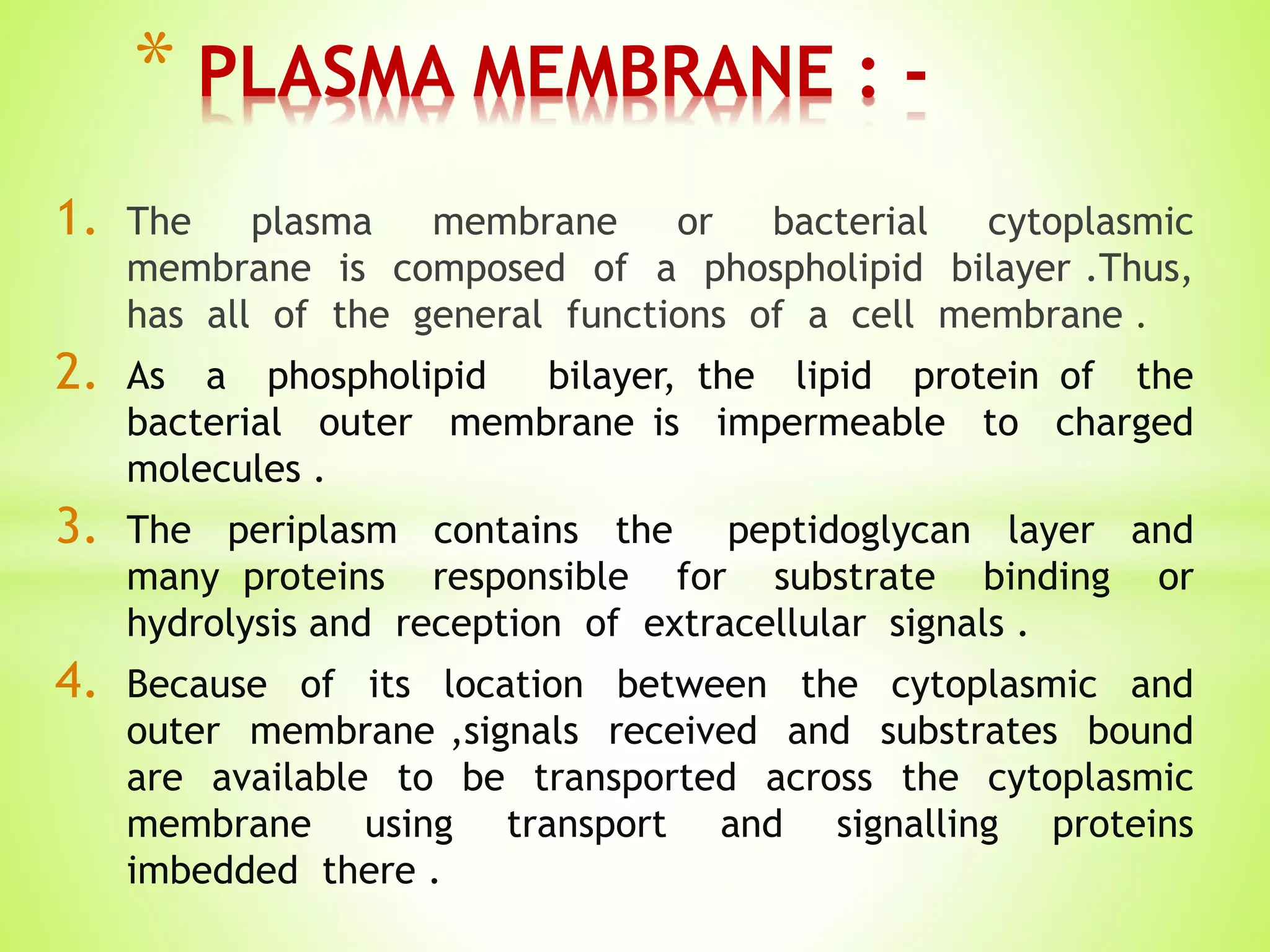 Internal structure of bacteria | PPTX | Biological Sciences | Science