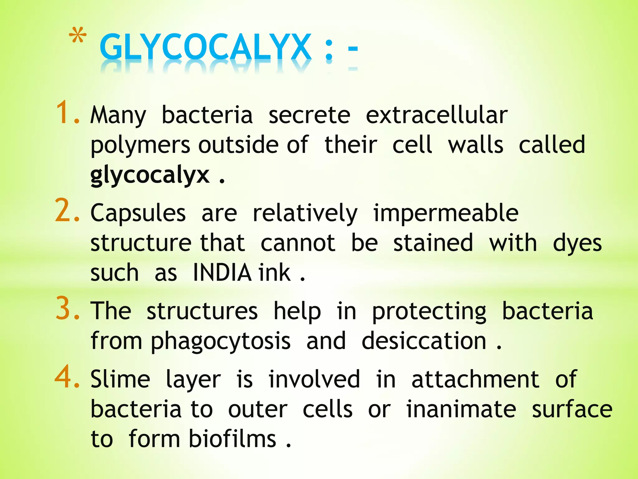 Internal structure of bacteria | PPTX