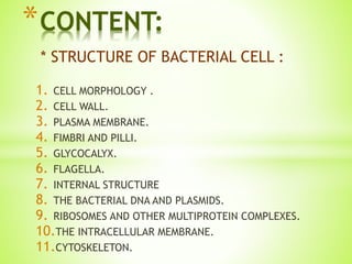Internal structure of bacteria | PPTX