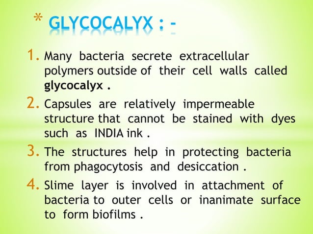 Internal structure of bacteria | PPTX | Biological Sciences | Science