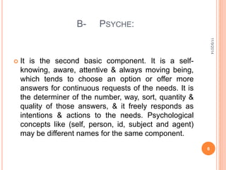 Internal Structure of Human Personality. Psychology | PPT