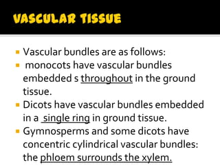Internal structure of stem | PPTX