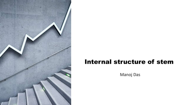 Internal structure of stem | PPT