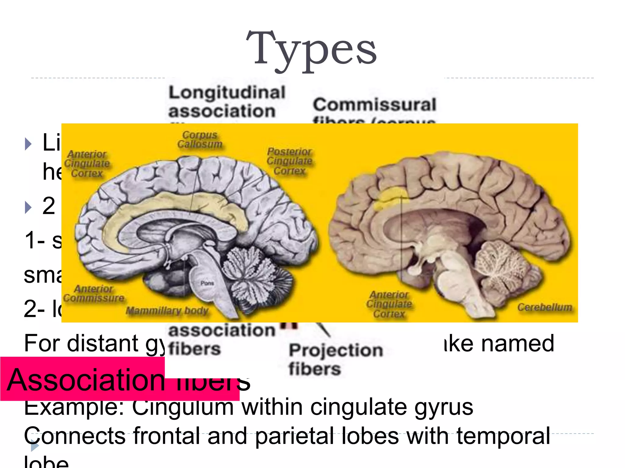 Internal structures of hemispheres | PPTX
