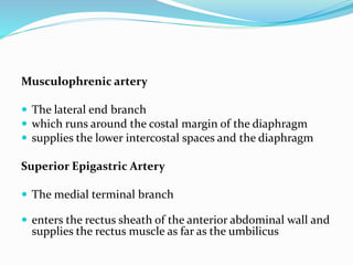 Internal thoracic ( mammary ) artery | PPTX