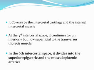 Internal thoracic ( mammary ) artery | PPTX