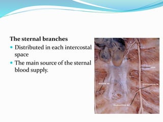 Internal thoracic ( mammary ) artery | PPTX