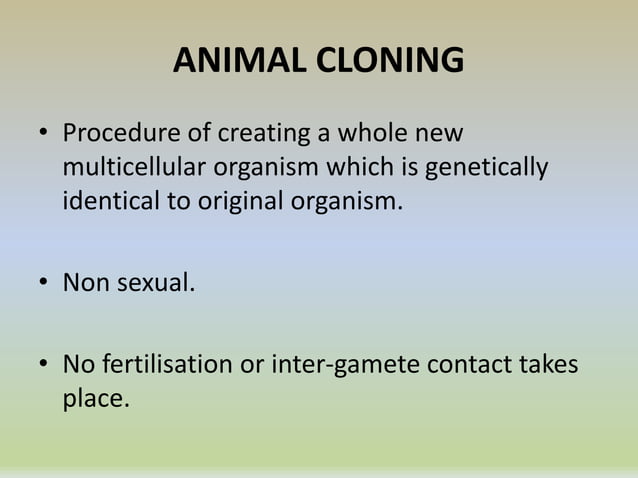 problems in cloning of animal and human | PPT