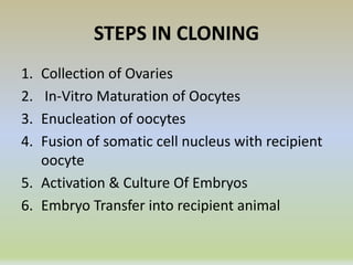 problems in cloning of animal and human | PPT