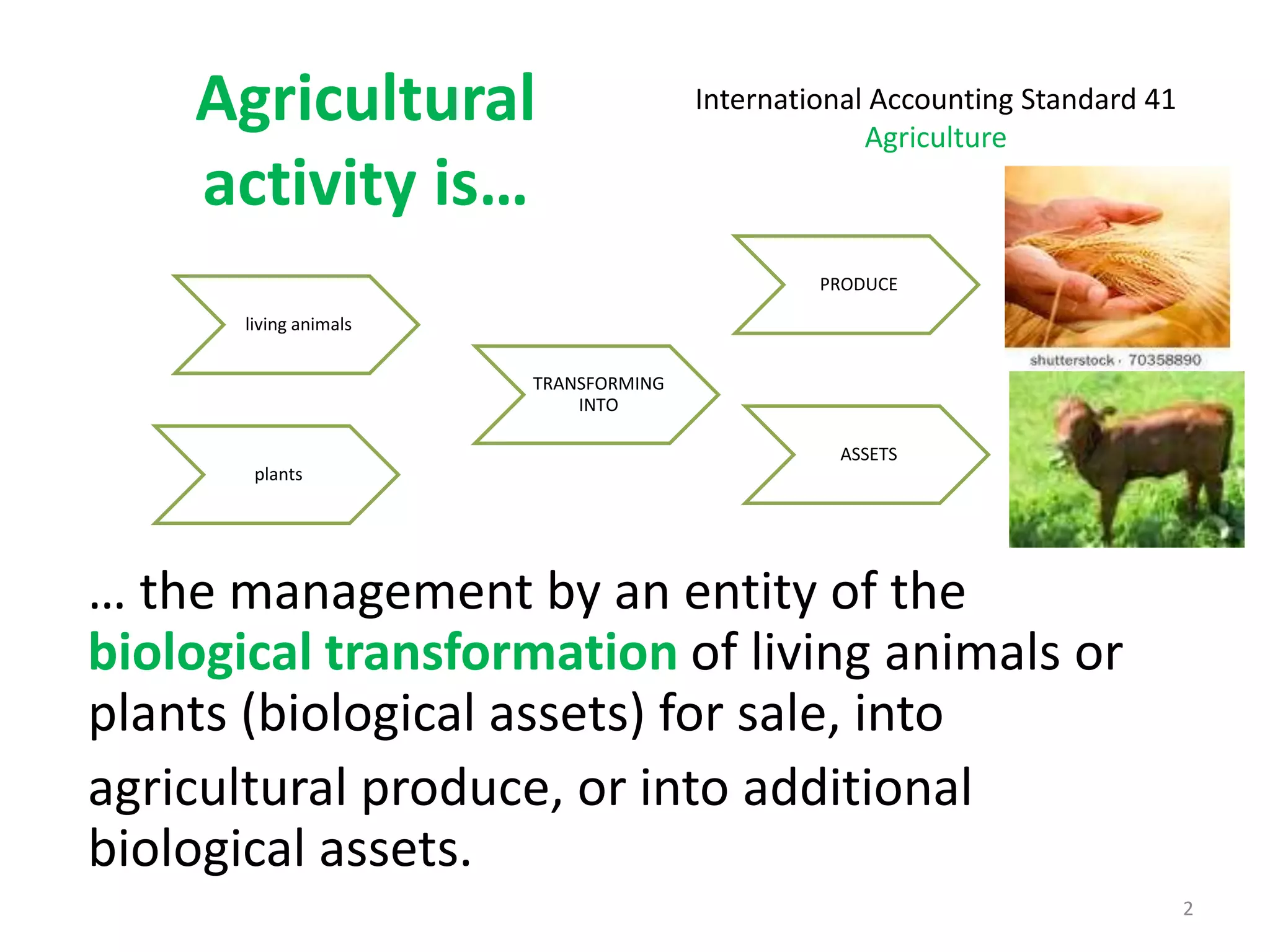 International accounting standard 41 agriculture | PPTX