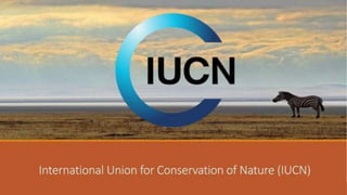 International agencies involved in conservation & management of_080413.pptx