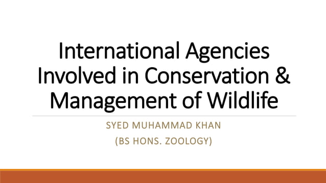 International Agencies Involved in Wildlife Conservation | PPT