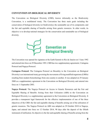 International Agencies Involved in Conservation & Management of ...