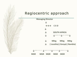 International busines approaches | PPT