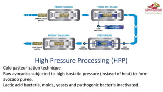 International business strategy of Auspak Avocados | PPT