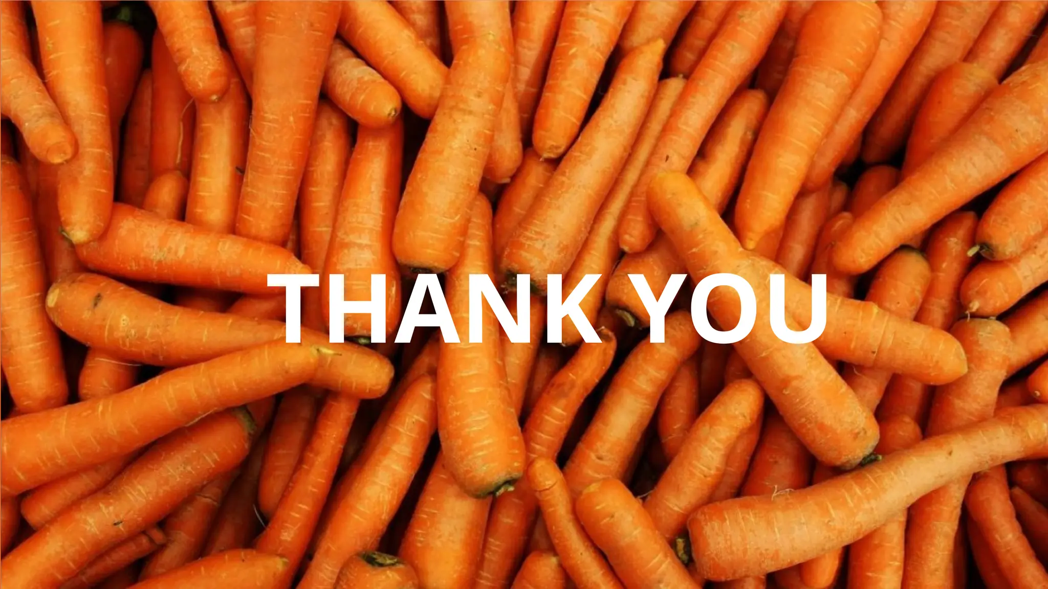 International Carrot day 22164111....ppt