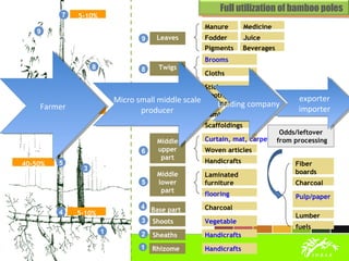 Global Bamboo Trade: Trends and Development | PPT