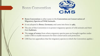 International Conventions on Forestry Issue.pptx