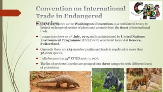 International Conventions on Forestry Issue.pptx