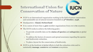 International Conventions on Forestry Issue.pptx