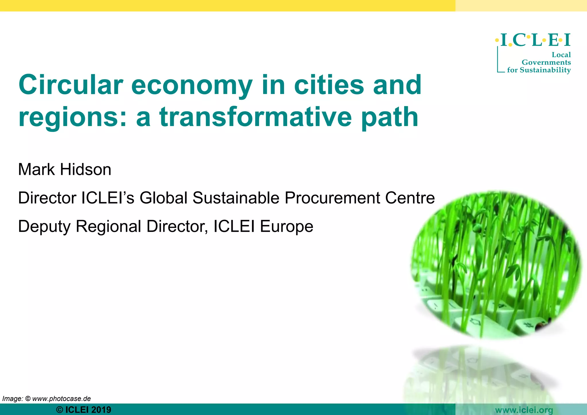 International Council for Local Environmental Initiatives (ICLEI) | PDF