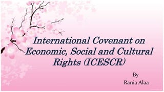 International covenant on economic, social and cultural | PPTX