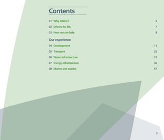 International Environmental Impact Assessment - Atkins.pdf
