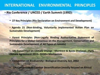 International_Environmental_Law_From_Pri.ppt
