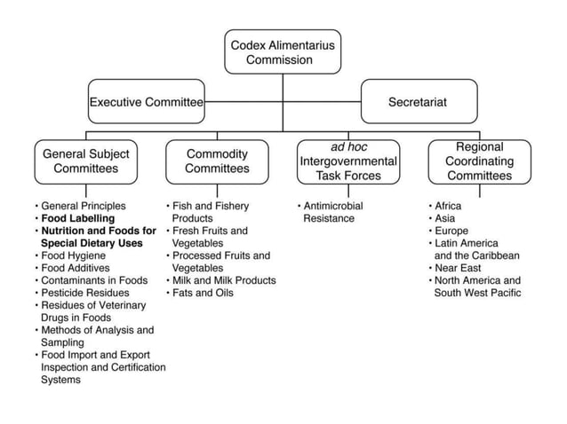 International food standards and regulation | PPTX | Food Industry ...