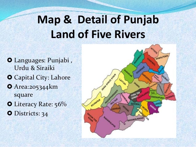 International forum presentation final