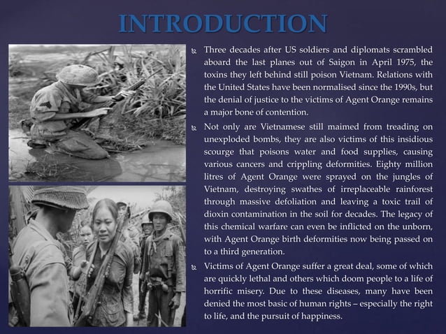 International Humanitarian Law - The Usage of Agent Orange in Vietnam ...