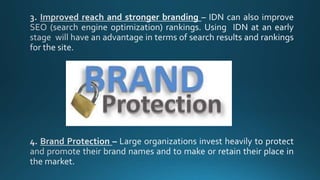 INTERNATIONALIZED DOMAIN NAME (IDN) & EMAIL ADDRESS ...