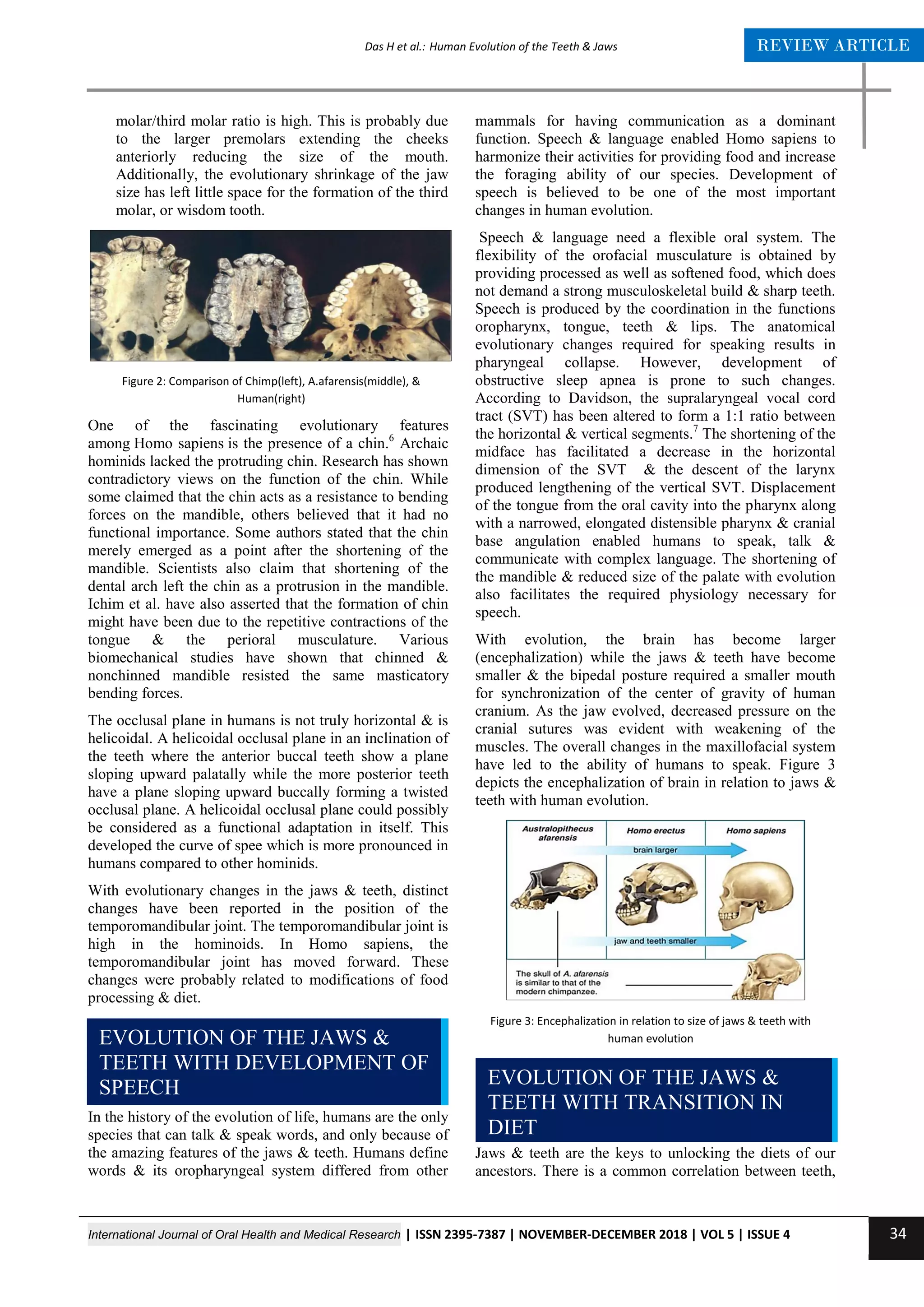 Human Evolution of the Teeth & Jaws: A Mouthful of History ...