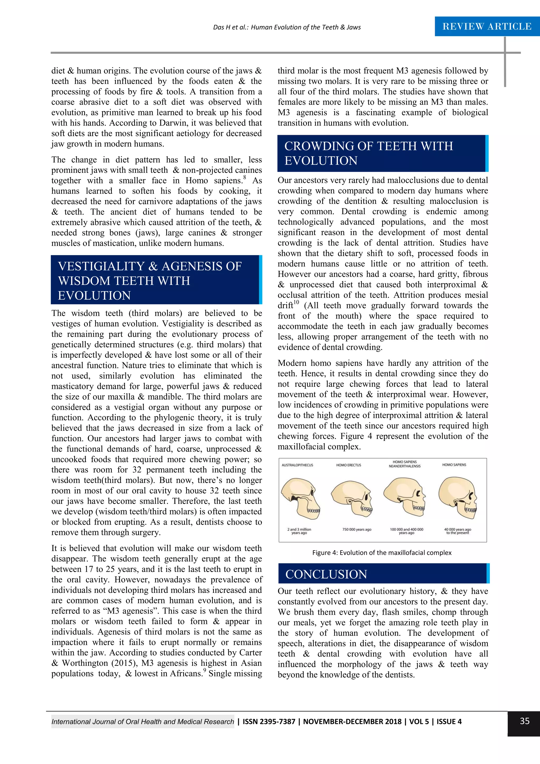 Human Evolution of the Teeth & Jaws: A Mouthful of History ...