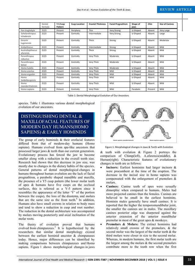 Human Evolution of the Teeth & Jaws: A Mouthful of History ...